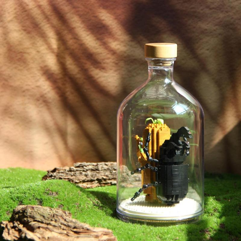 Insect Collection Building Blocks with Glass Display Bottle – genowl