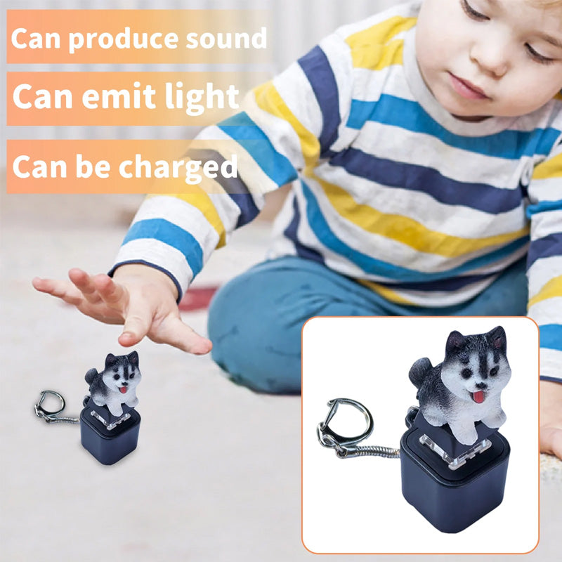 Rechargeable Sound & Light Fidget Toy Keychain – genowl