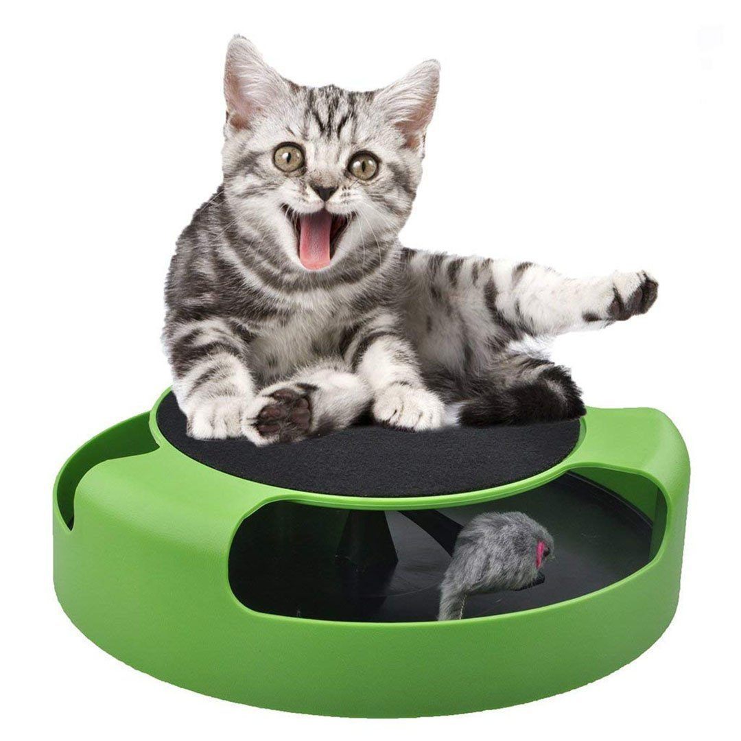Catch Mouse Interactive Cat Toy – genowl