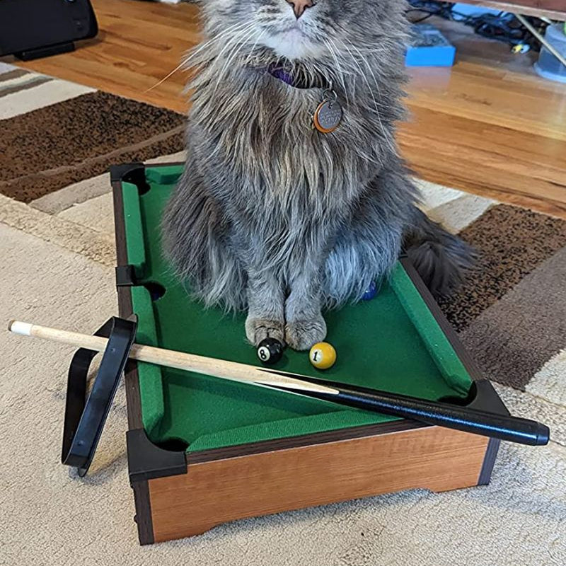 Mini Billiards Table Interactive Cat Toy For Household – genowl